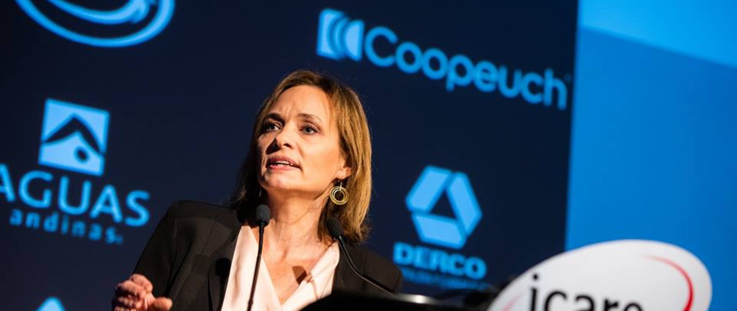 Carolina Goic: “Tenemos que hacernos cargo del financiamiento sostenido ...